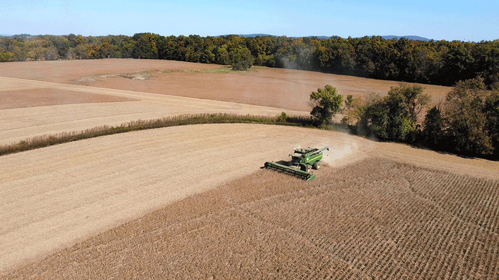 Cover Crops Maximize Yield for Pennsylvania No-Tiller