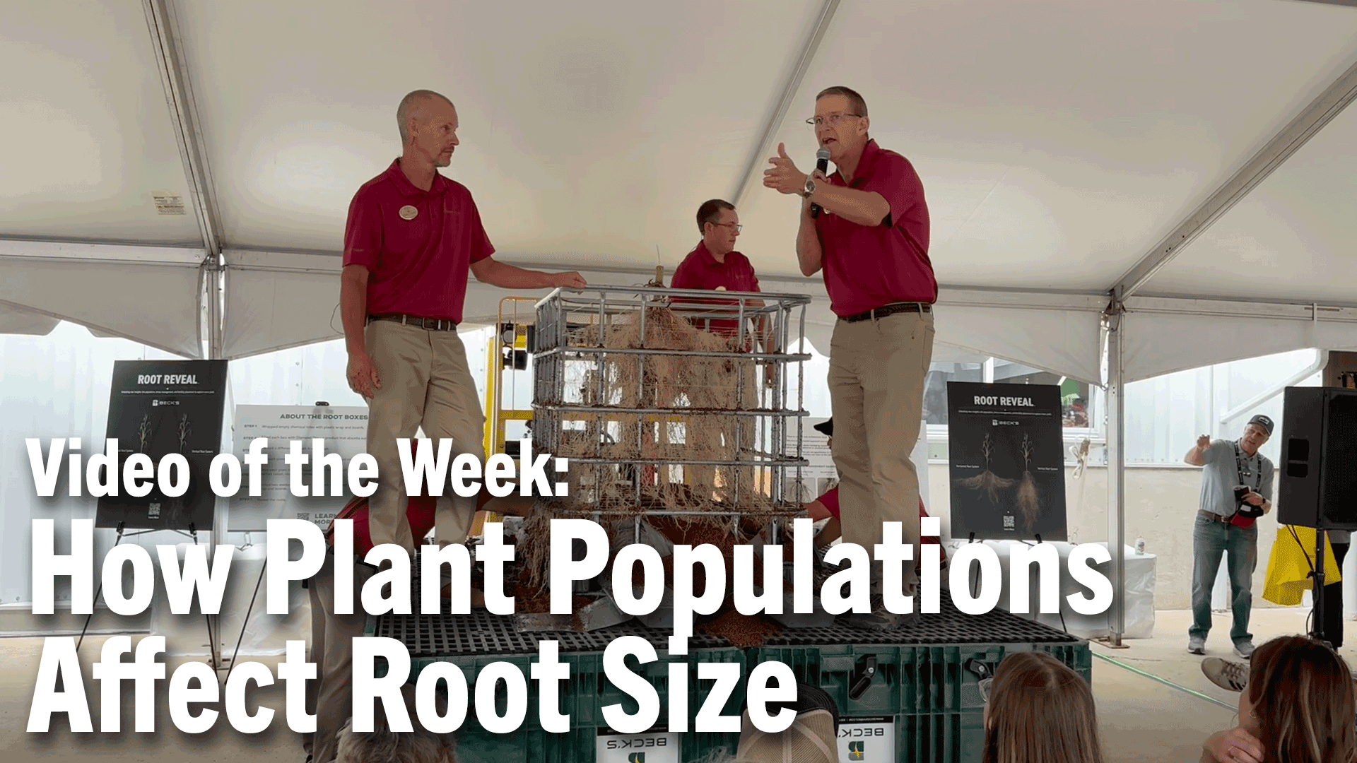 Video of the Week: How Plant Populations Affect Root Size