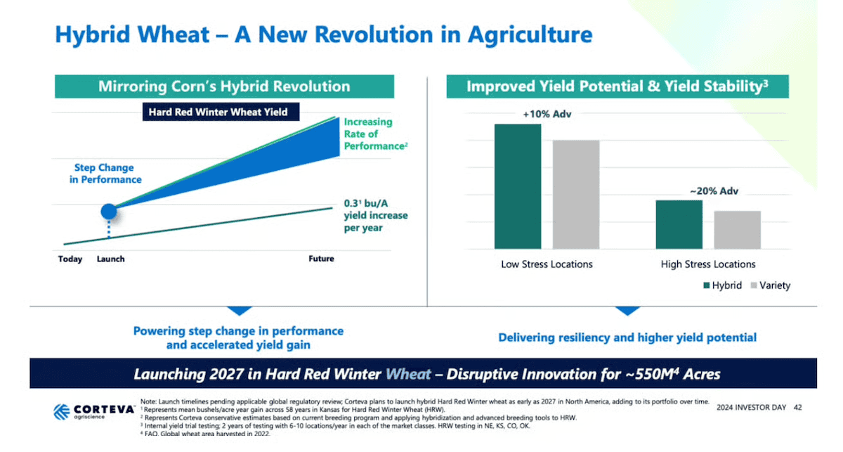 A Look at Corteva’s Revolutionary Hybrid Wheat
