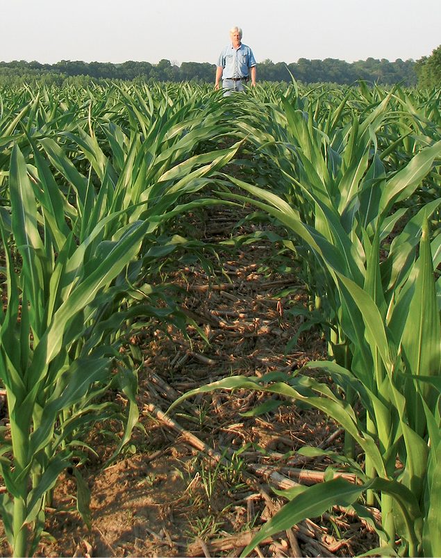 Don't Tell This No-Tiller Continuous Corn Won't Work