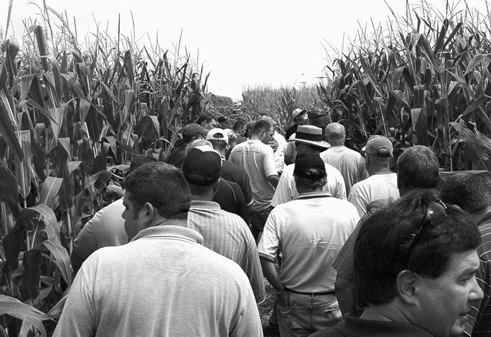New Quad Stack Protects Against Both Corn Insects And Weeds