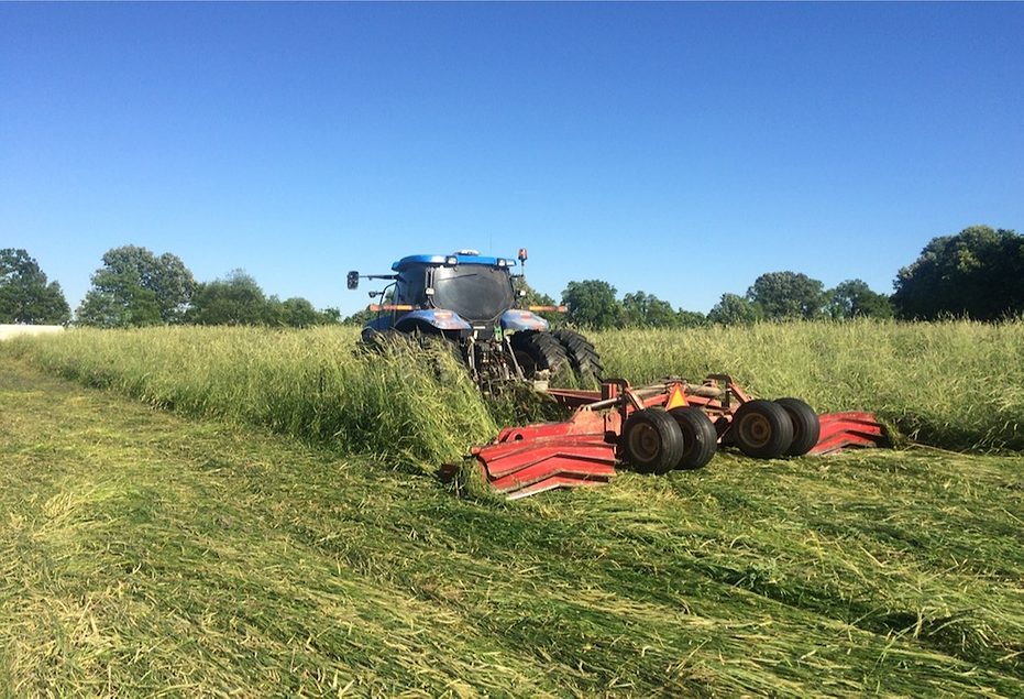 Swapping ‘Jugs’ for Cover Crops Leads to Greener No-Till Future