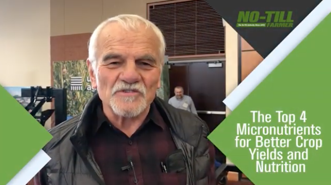 [Video] The Top 4 Micronutrients for Better Crop Yields and Nutrition