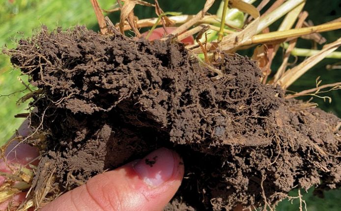 Reddick Farms Goes All in on No-Till and Cover Crops in Kentucky