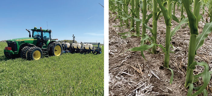 Switching From Cows to Crops Brings Growth in No-Tilled Fields