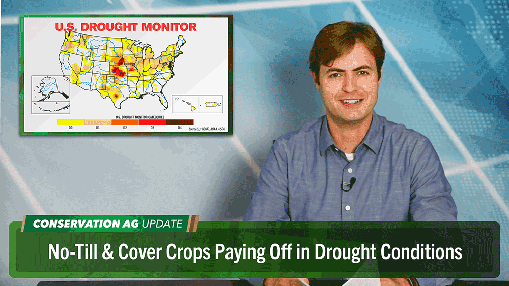 No-Till & Cover Crops Paying Off in Drought Conditions