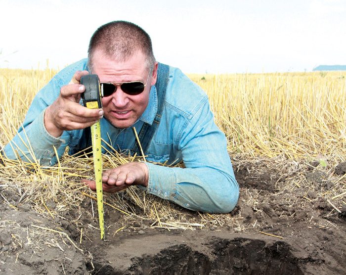 Digging In: Strip and Furrow Analysis