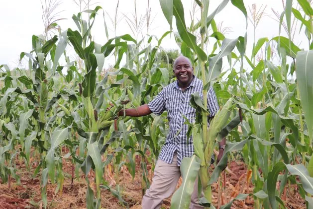 Kenya’s Dryland Farmers Embrace Regenerative Farming to Brave Tough Climate